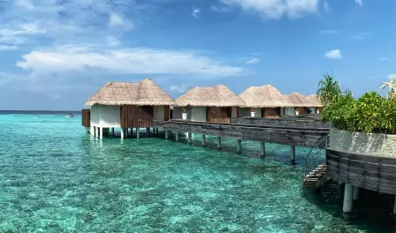 Nelson Travel | Timeless Holiday Experiences