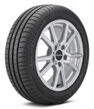 Buy Goodyear Efficient Grip Performance RunOnFlat Tires | CarShtuff