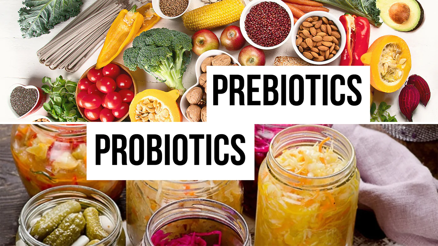 Prebiotics + Probiotics - Support Your Gut Health The Right Way!