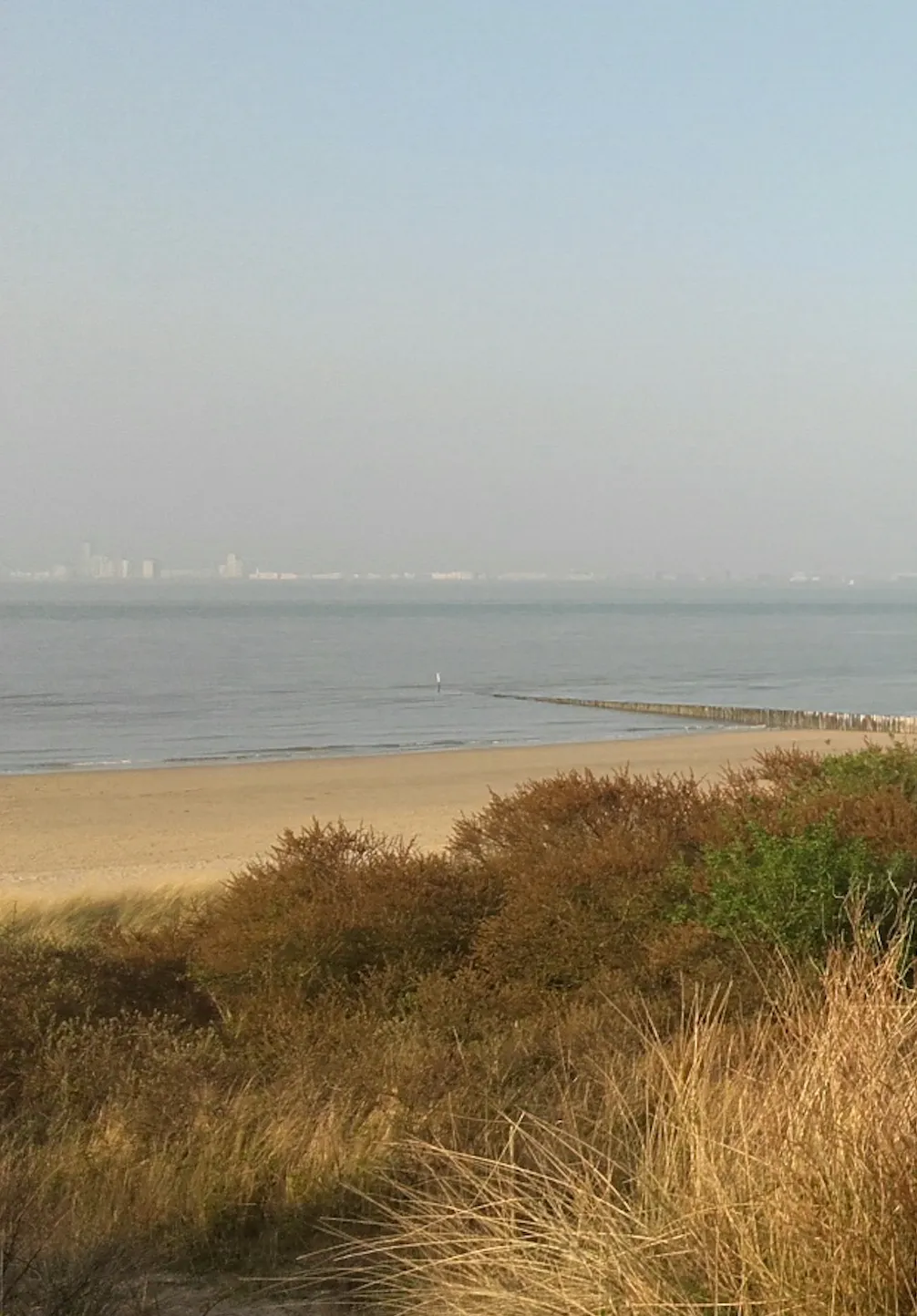 Do you Do you Do you Knokke-le-Zoute ? Direction la Belgique