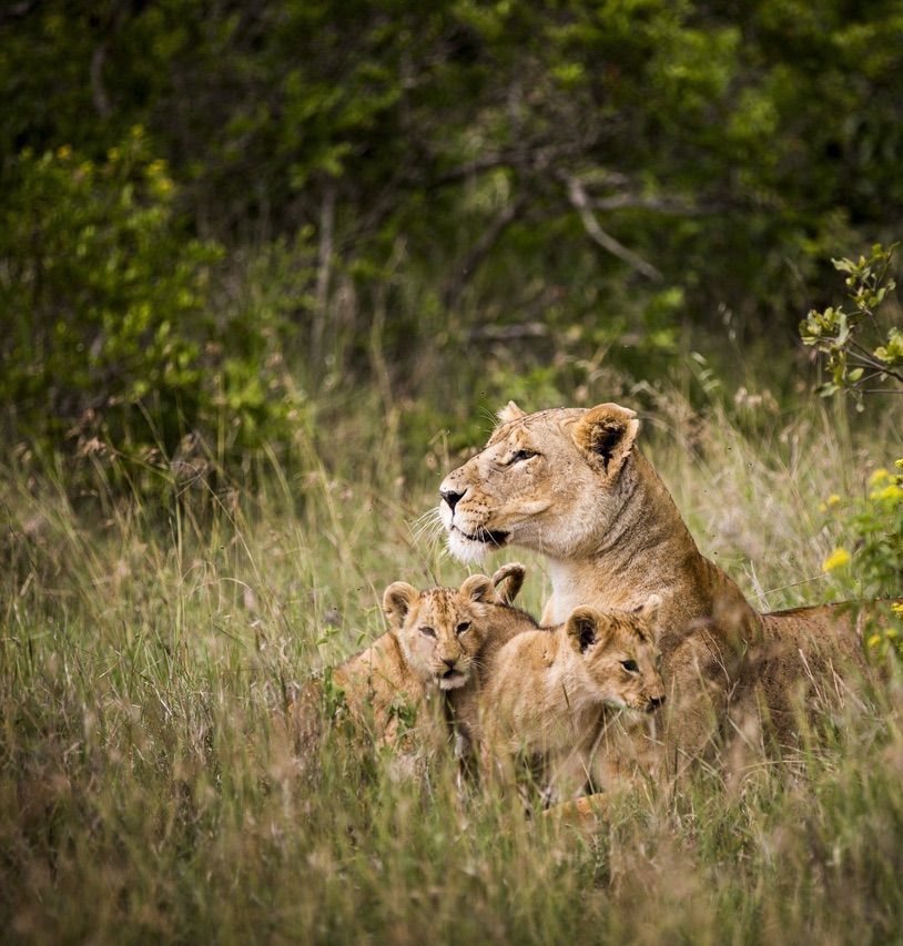 Destinations | Nelson Travel