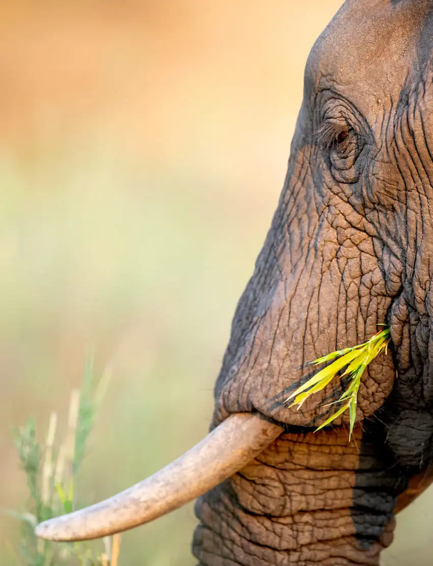 Nelson Travel | Timeless Holiday Experiences