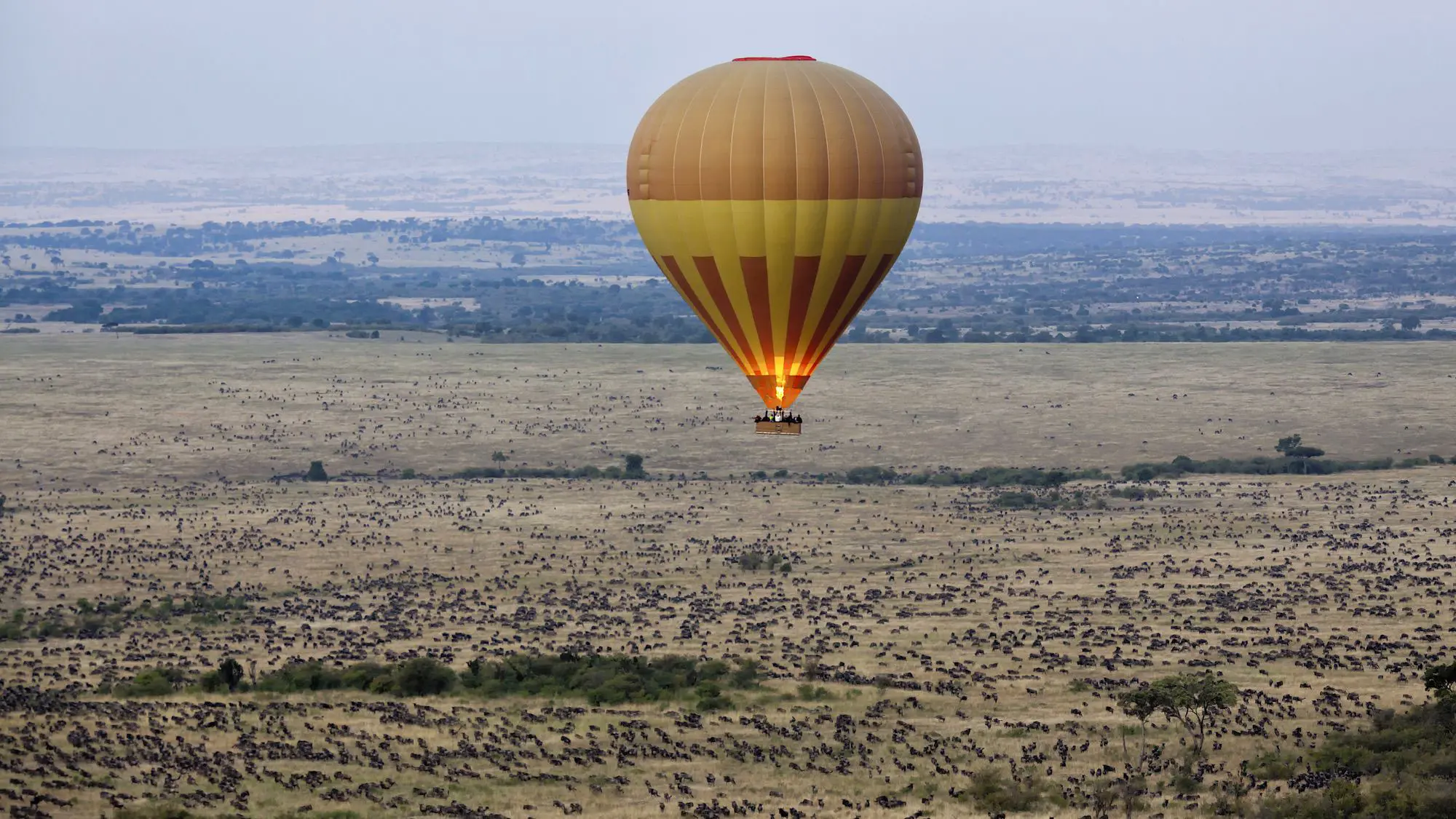 African Safari Bucket List | Nelson Travel