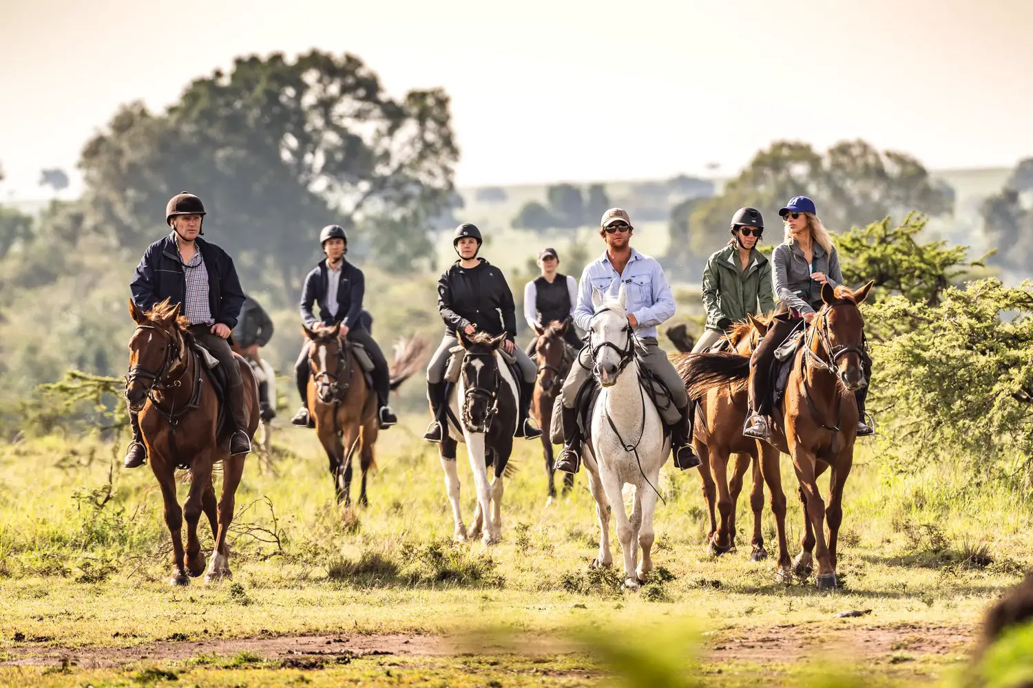 Offbeat Safaris | Our Picks