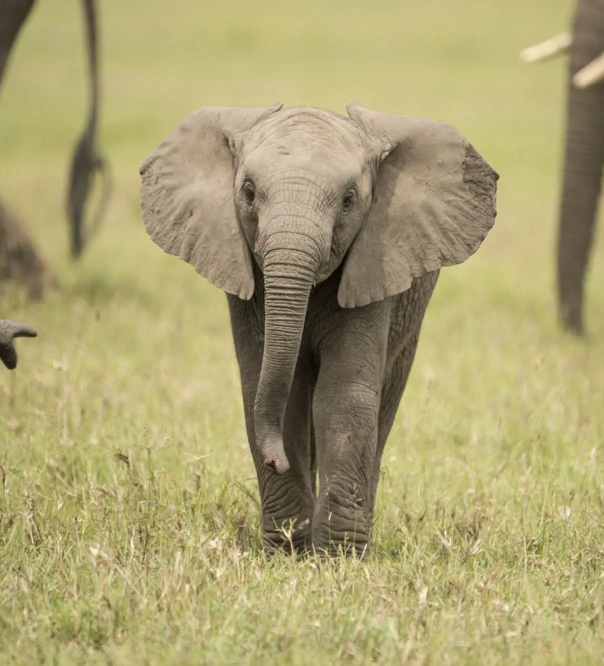 Nelson Travel | Timeless Holiday Experiences