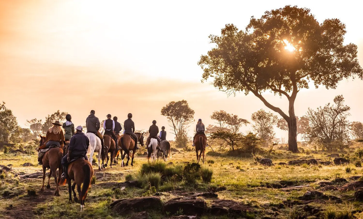 Simon Kenyon Takes The Reins at Offbeat Riding