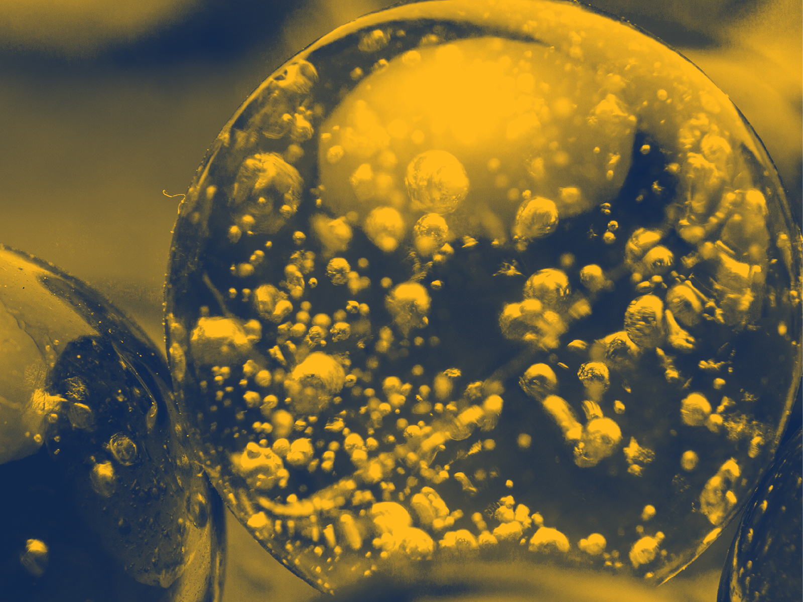 Reflections and Predictions: Data Collaboration, Media Networks and ...