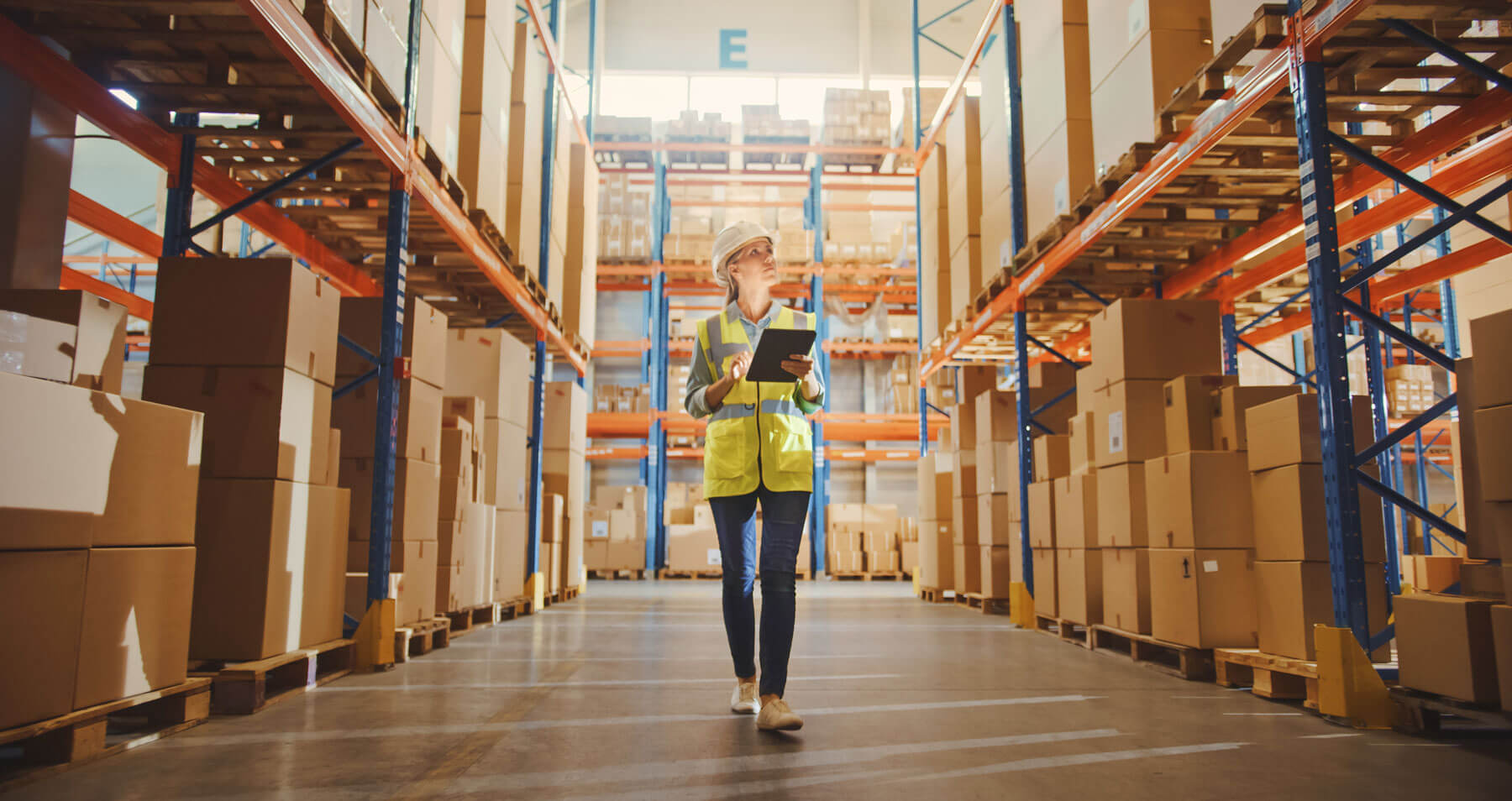 The Importance of Project Management in Logistical Processes | Allex Blog