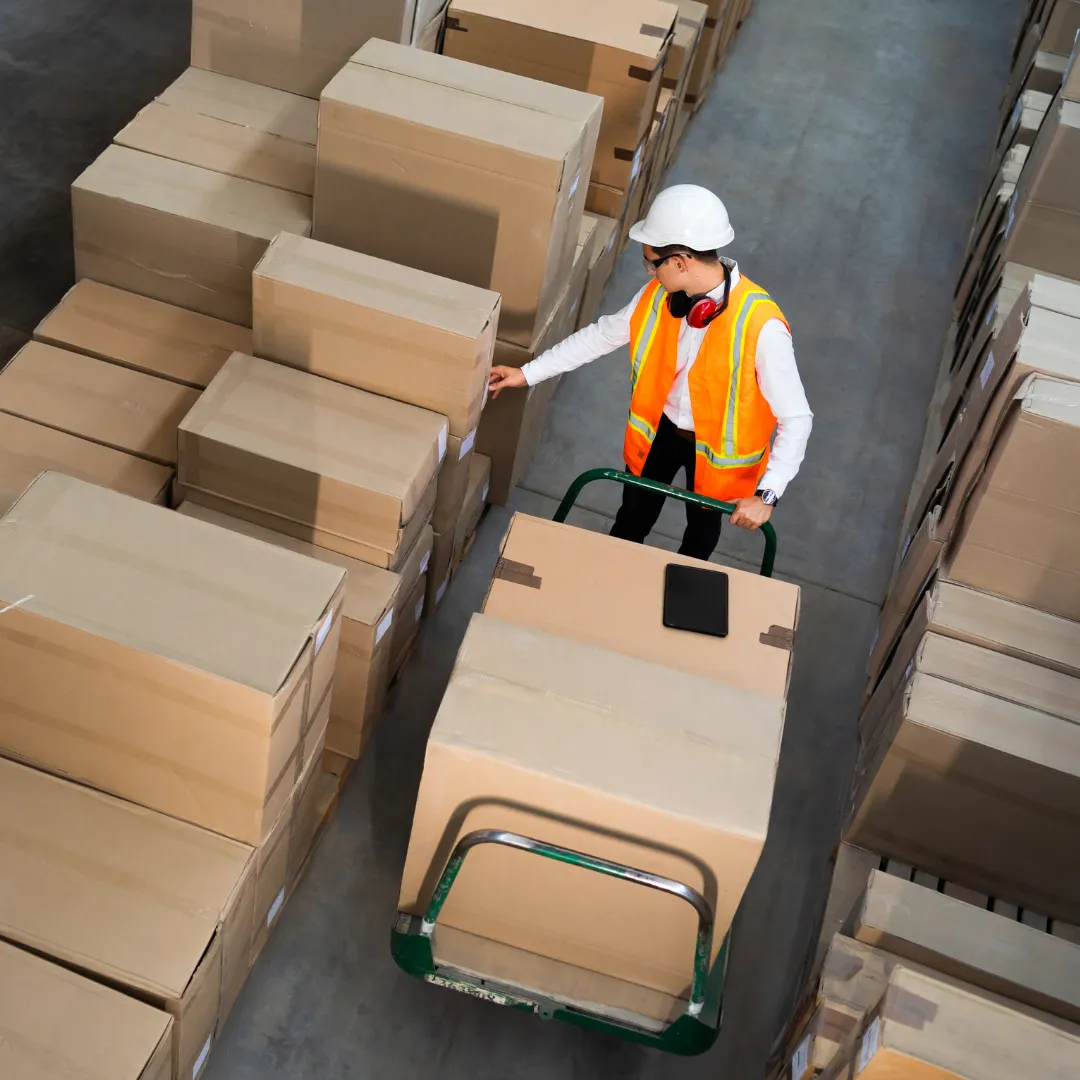 Critical Chain Project Management: Transforming the Packaging Industry ...