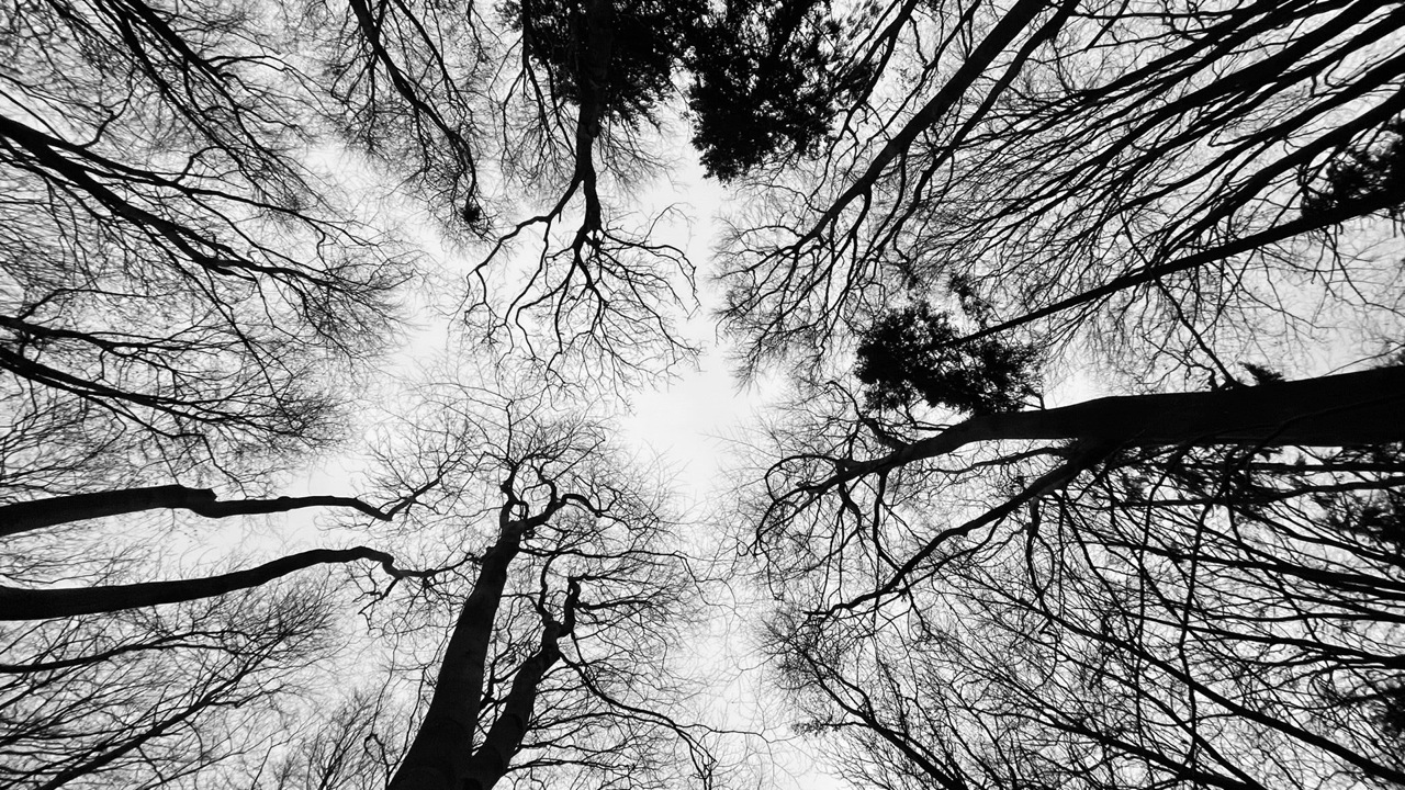 Past Exhibition: MEASURELESS by the Quantock Poetry Trail