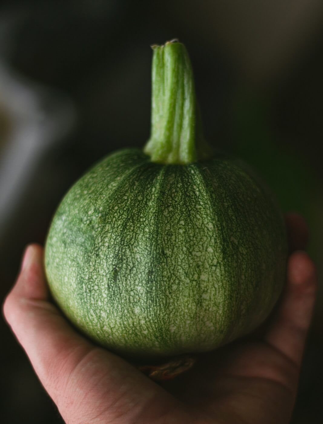 Bad Zucchini Companion Plants You Shouldn't Grow