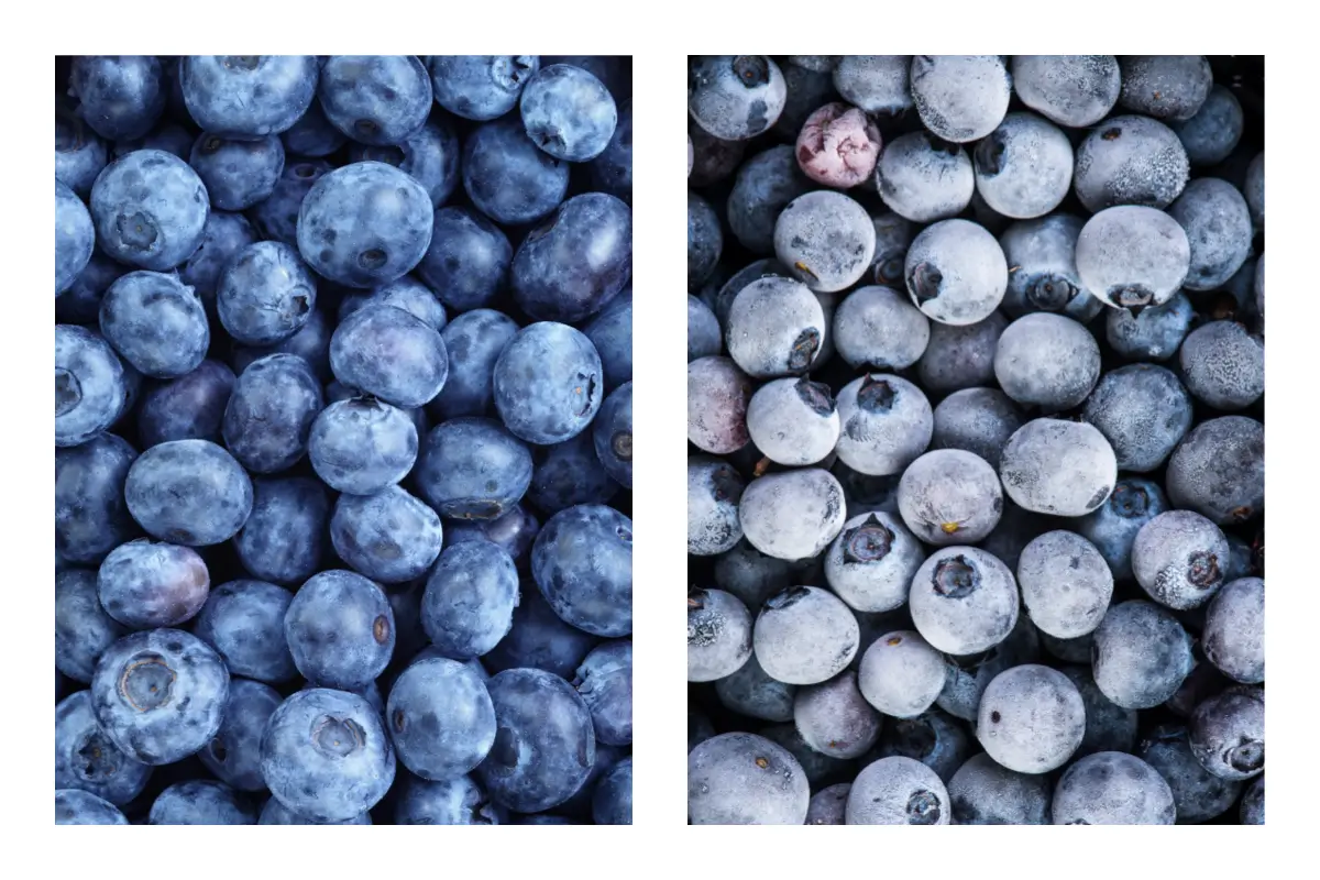 Fresh vs Frozen Blueberries (Nutrition, Storage, and Uses)