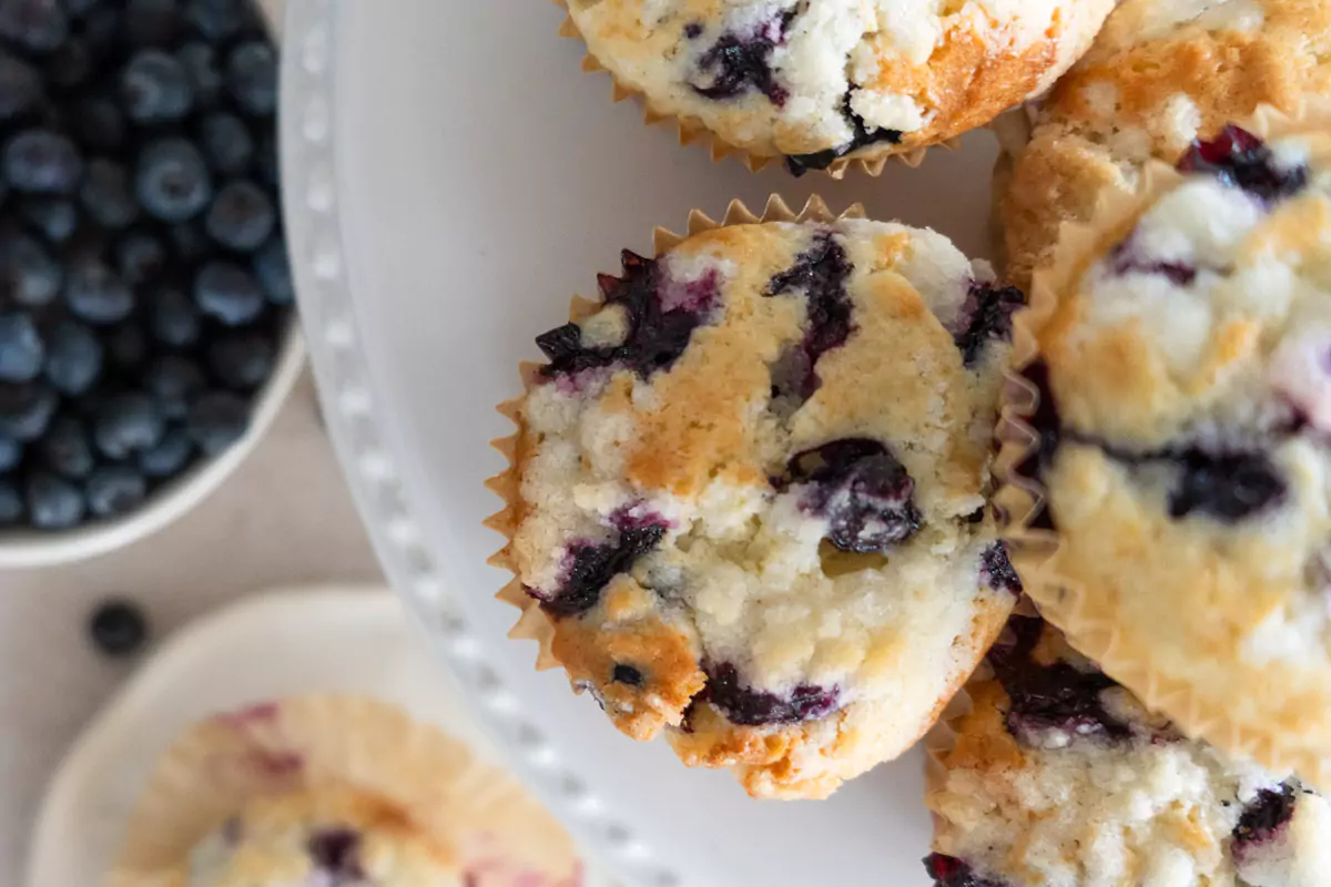 Small Batch Blueberry Muffins with Crumb Topping