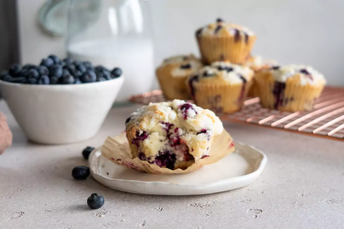 Small Batch Blueberry Muffins with Crumb Topping