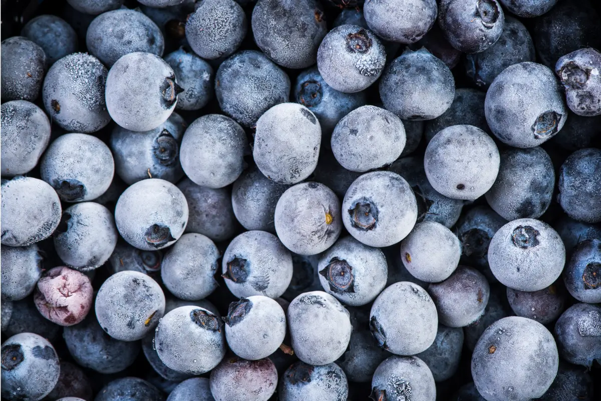How to Freeze Blueberries + Storage Tips
