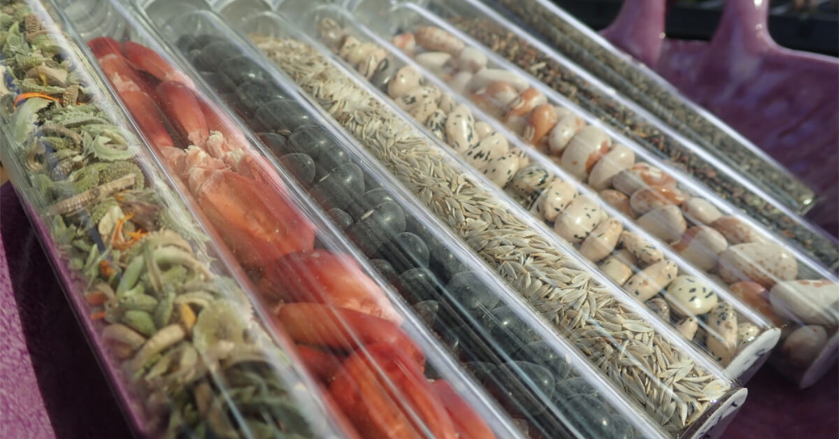 What Is Dry Food Storage? | Build a Stash