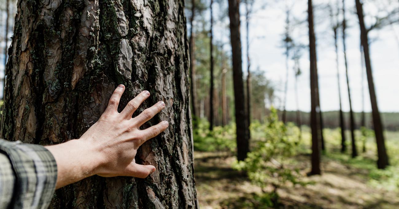 How Can Resource Conservation Benefit The Environment?
