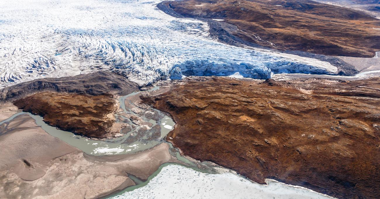 Which Biome Is Found Near The Polar Ice Caps? | Build a Stash
