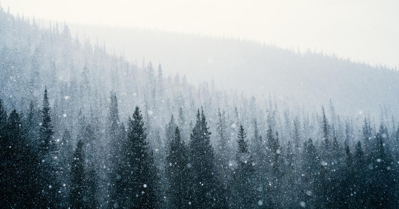 Effects of Blizzards on the Environment | Build a Stash