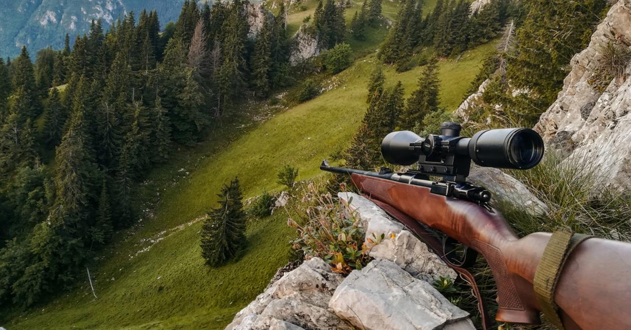 What Is The Hunter's Role In Wildlife Conservation?