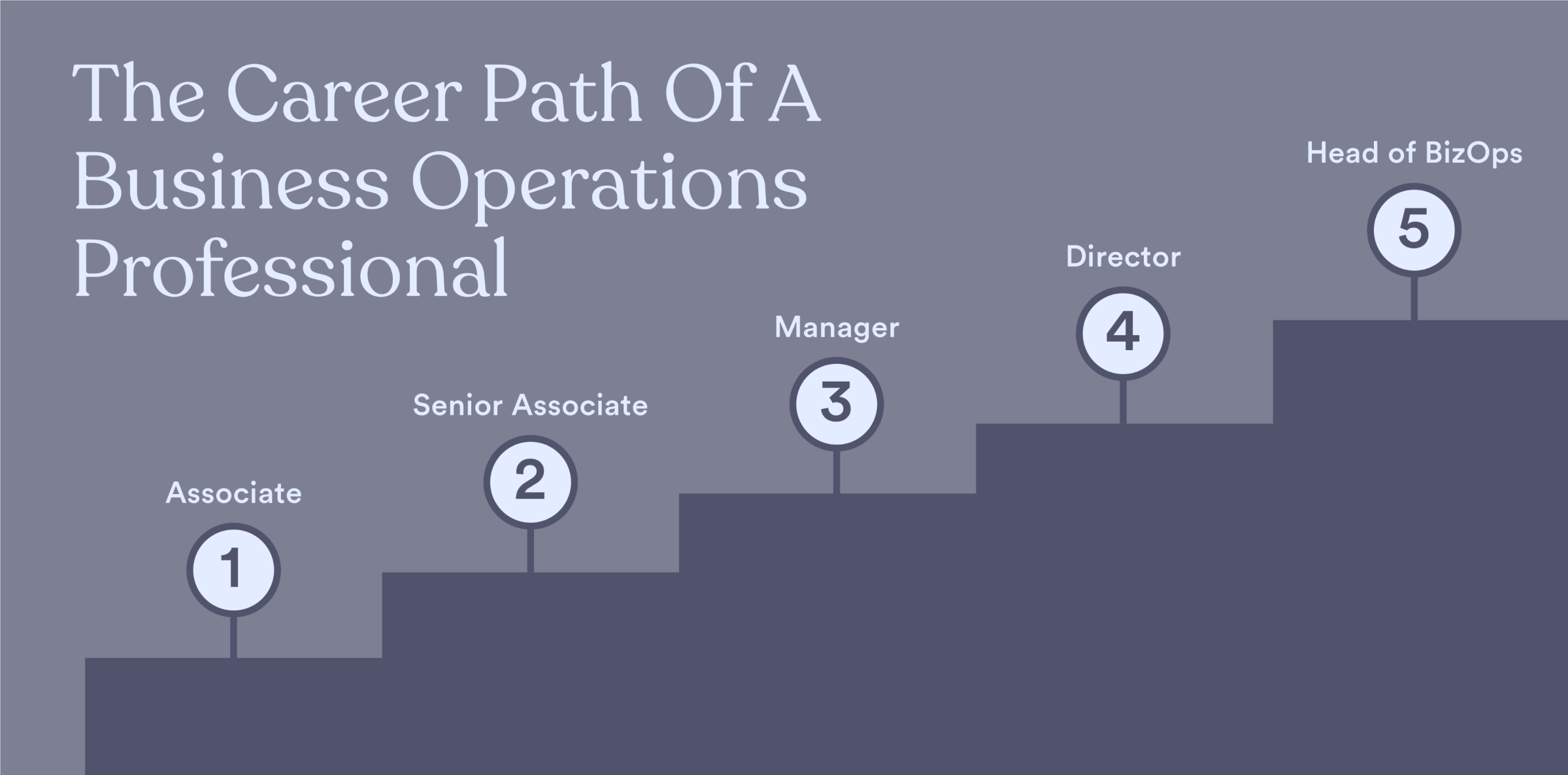 What Is The BizOps Career Path? How To Get Started - by BizOps Network ...