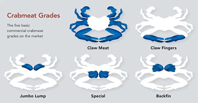 Crab Product Forms