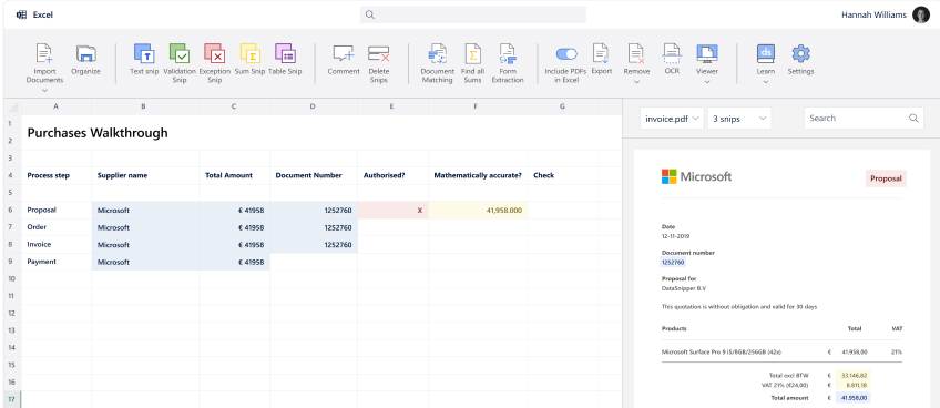 DataSnipper - Intelligent Automation Platform