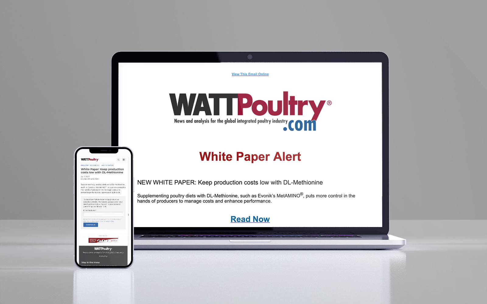 White Papers | WATT Global Media - Agrifood Media Kit