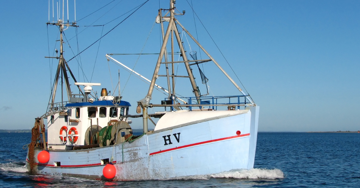 Living On The Ocean In A Boat: A Beginner's Guide | LakeWizard