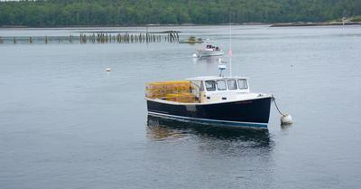 Ultimate Guide to Typical Crab Boat Layouts and Floorplans