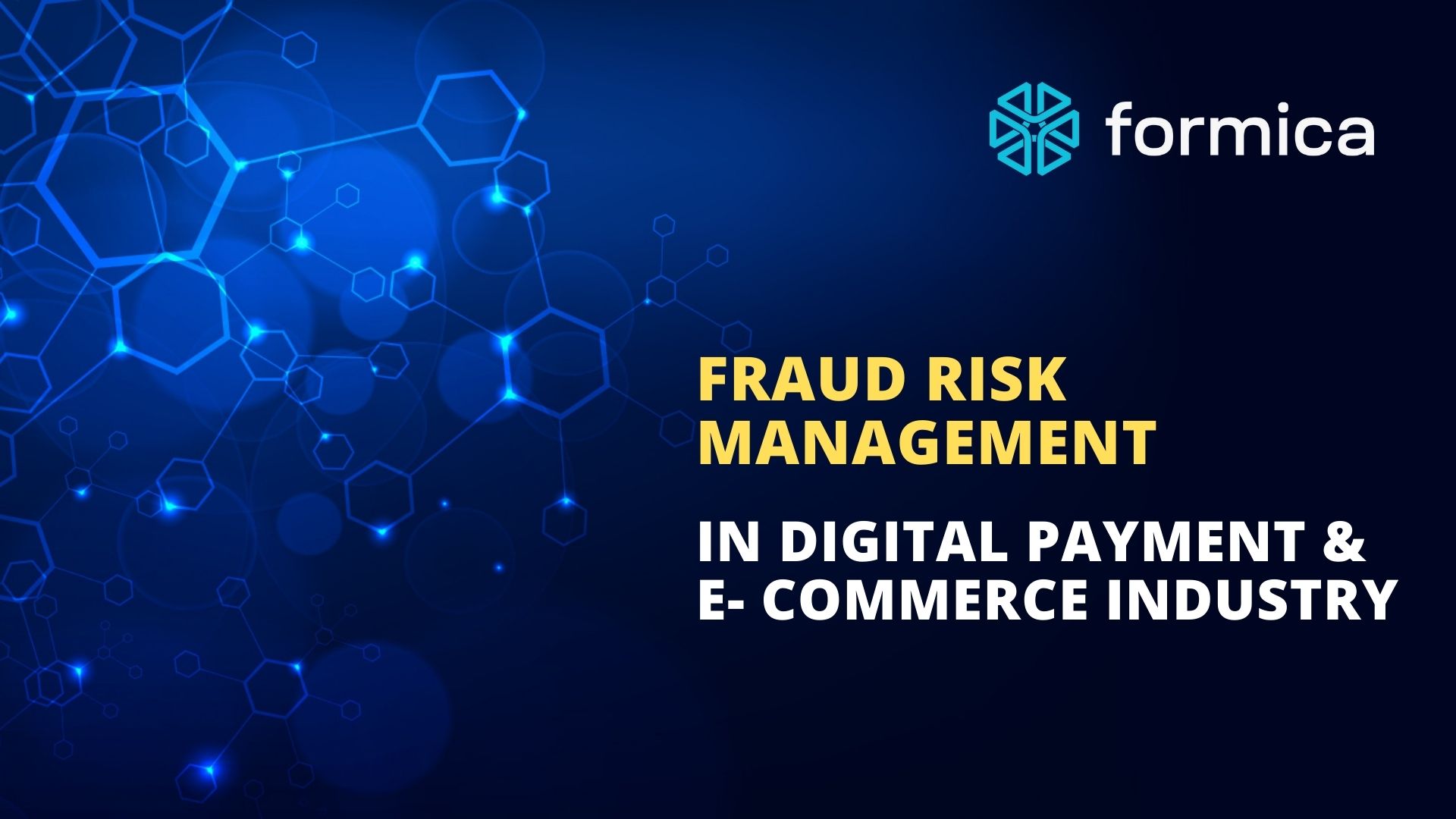 Risk Management in Digital Payment and E-Commerce Industries