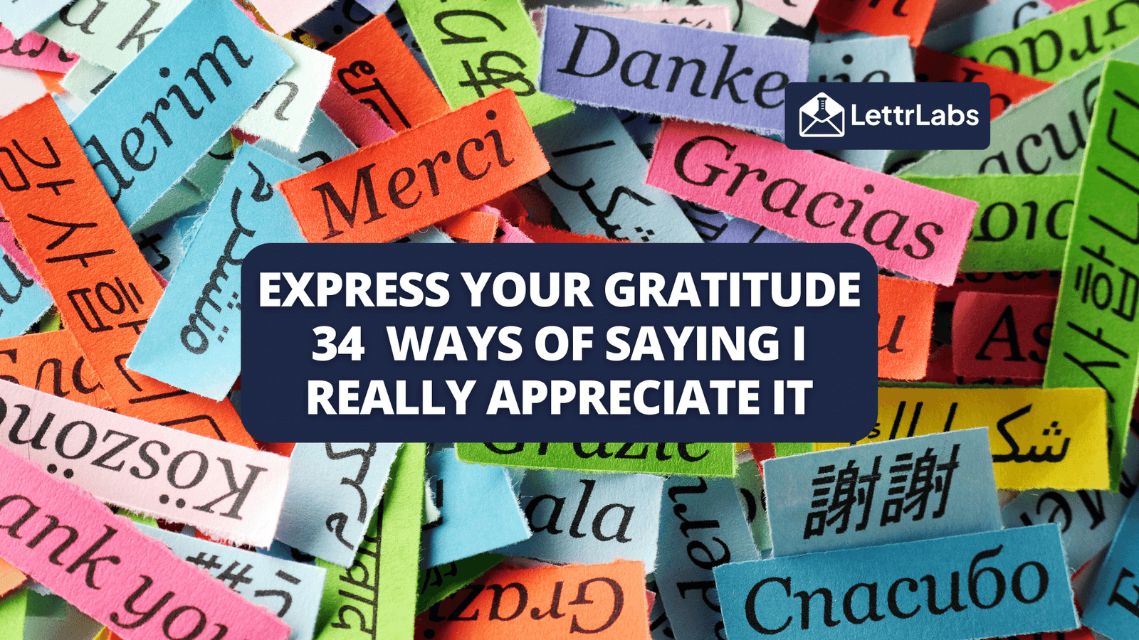 Express Your Gratitude with 34 Different Ways of Saying I Really ...