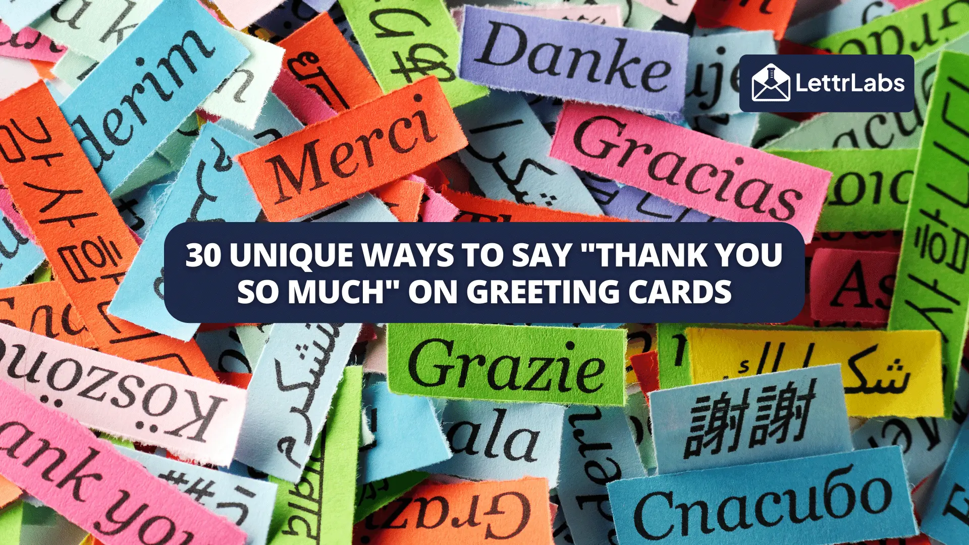 Thank You All So Much