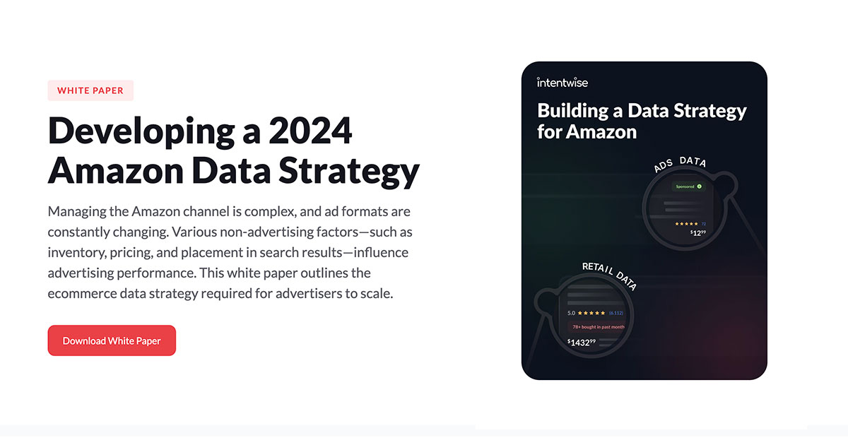 Amazon Data and Analytics Strategy White Paper | Intentwise
