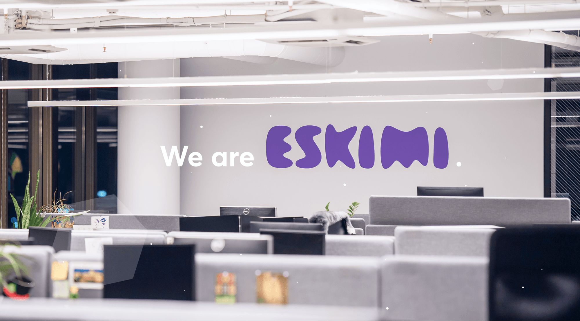About Us | Eskimi