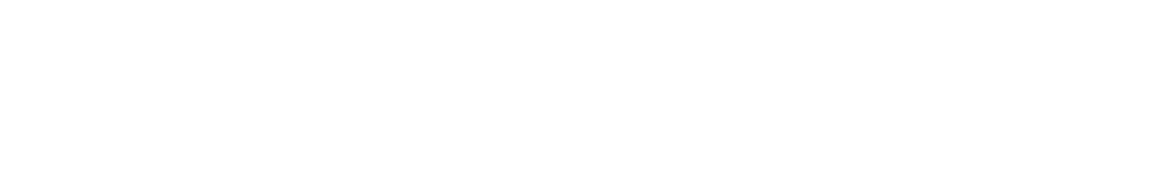 Mycar Case Study | Eskimi