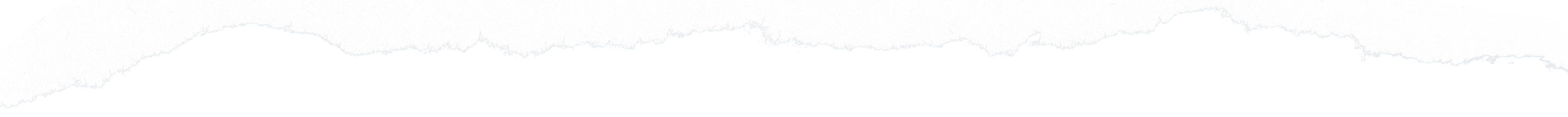 Back 2 Basics: A Fitness Experience Like No Other