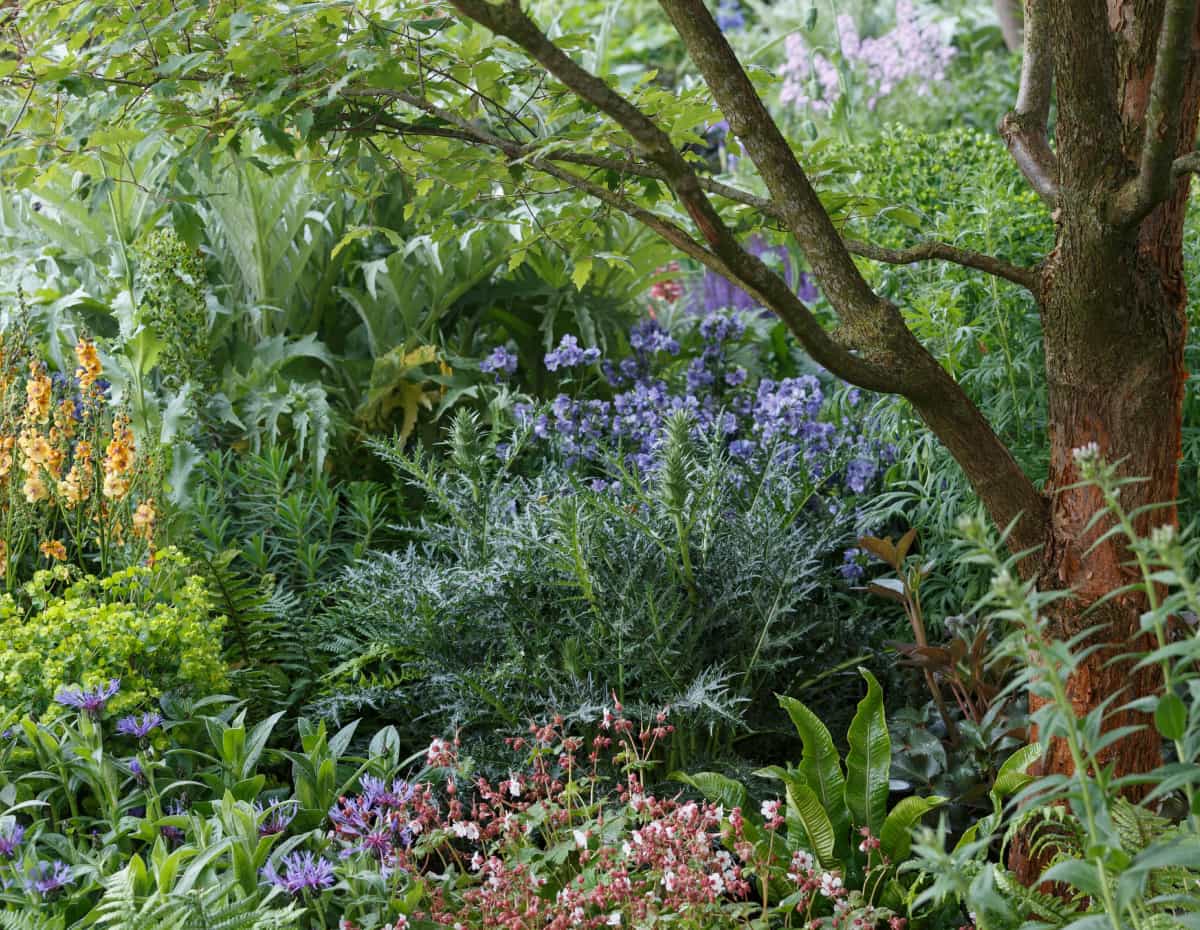 Project Giving Back announced | News | Project Giving Back