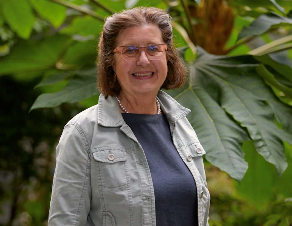 ‘Our story so far’ with Chair of our Advisory Panel, Rosie Atkins ...