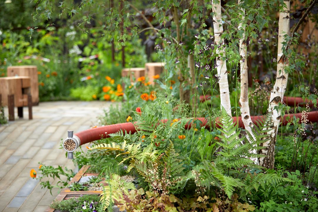 Chelsea Flower Show Map 2022