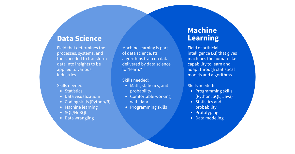 Machine Learning Engineer vs Data Scientist, quelles différences