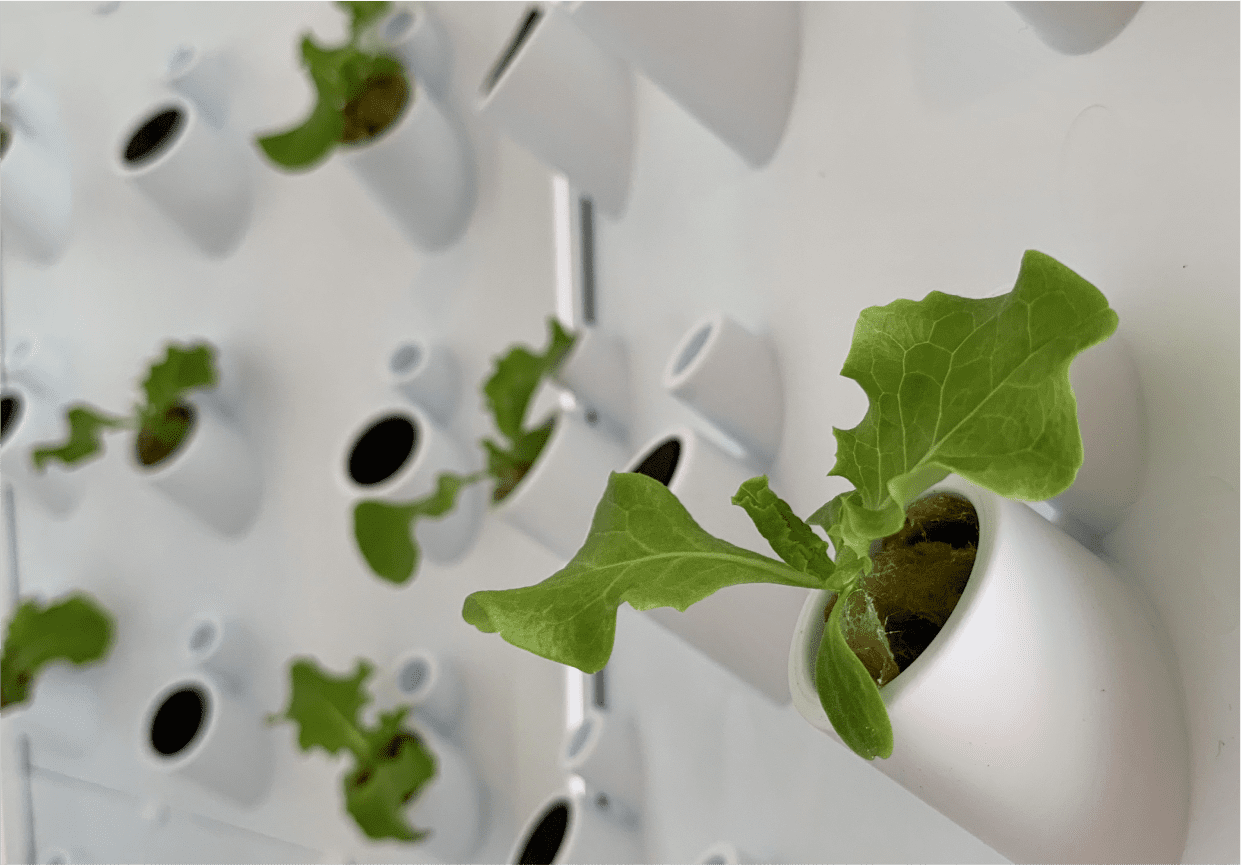 Empower Your School with Fresh Food | Equip Your Classroom with an ...