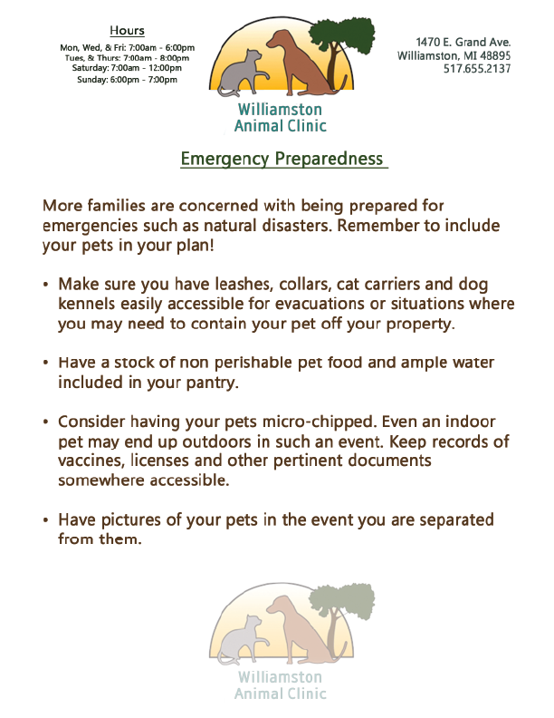 Emergency Vet in Williamston, MI | Williamston Animal Clinic