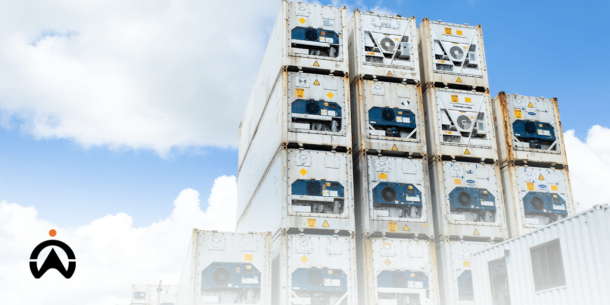 What is cold chain logistics and why is it important to maintain your ...