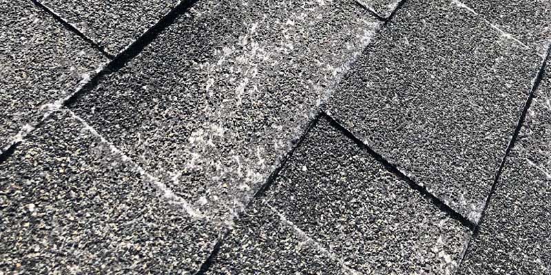 Granule Loss: What It Is and Why It's Bad - The Roof Guys