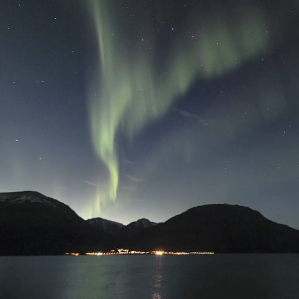 GALE | Creative. Media. Consultancy.