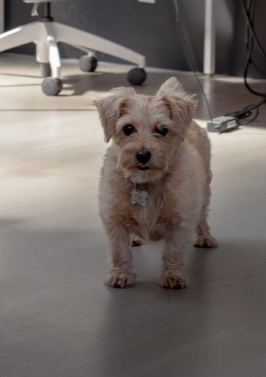 Join GALE | Careers at GALE Partners