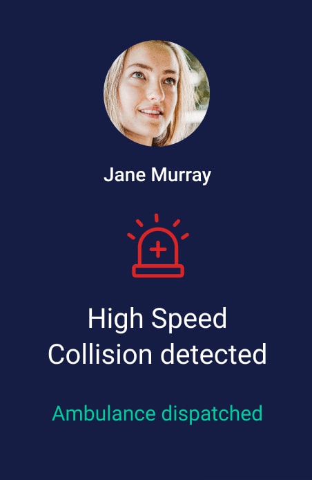 Digital Solutions for Automotive OEMs