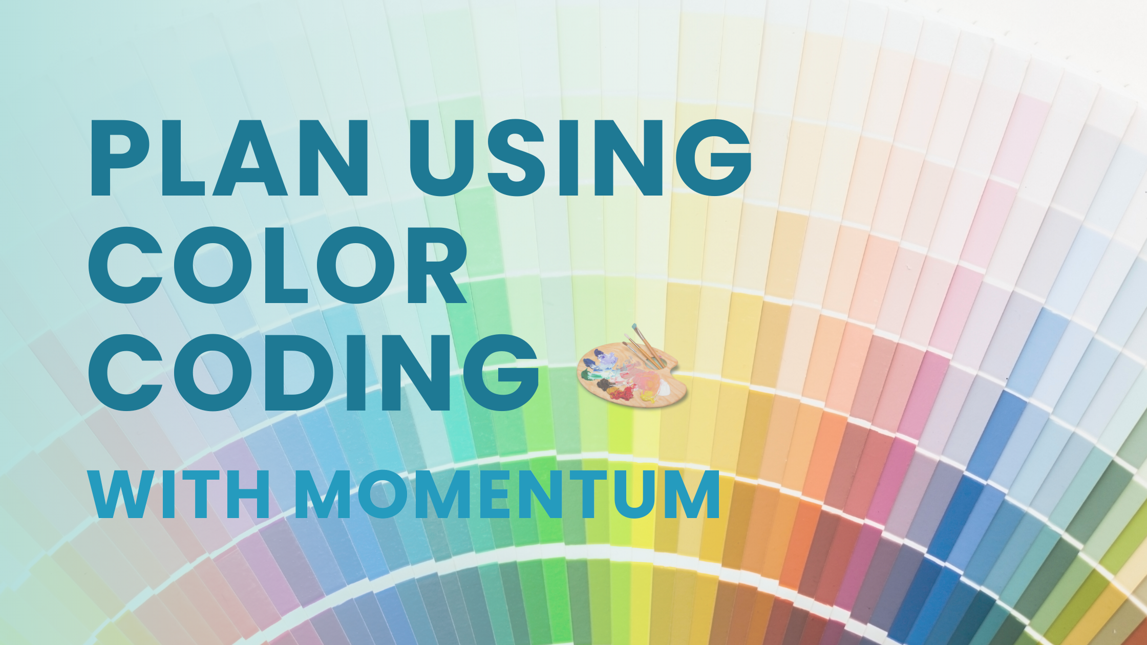Plan Using Color Coding with Momentum - Momentum