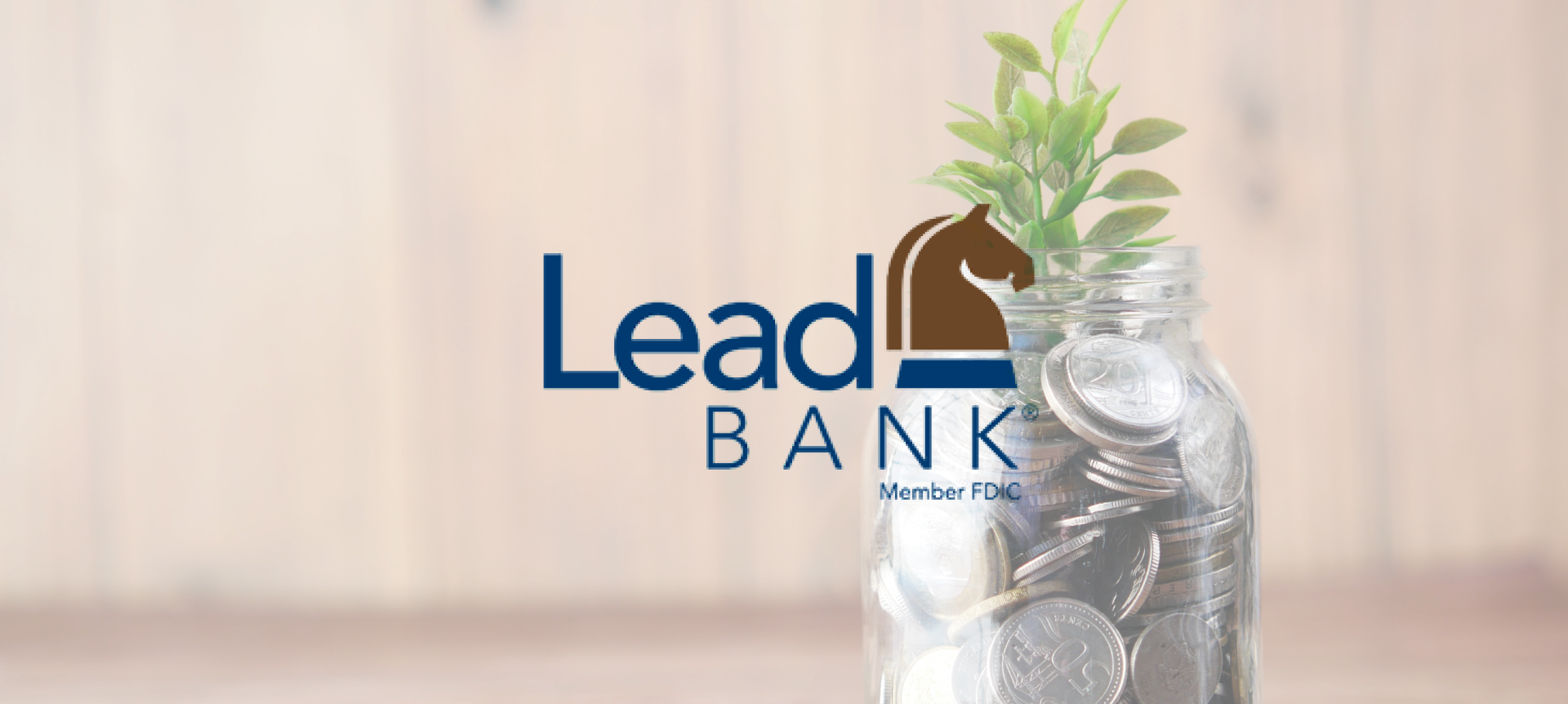 What Is Lead Bank Self Lend